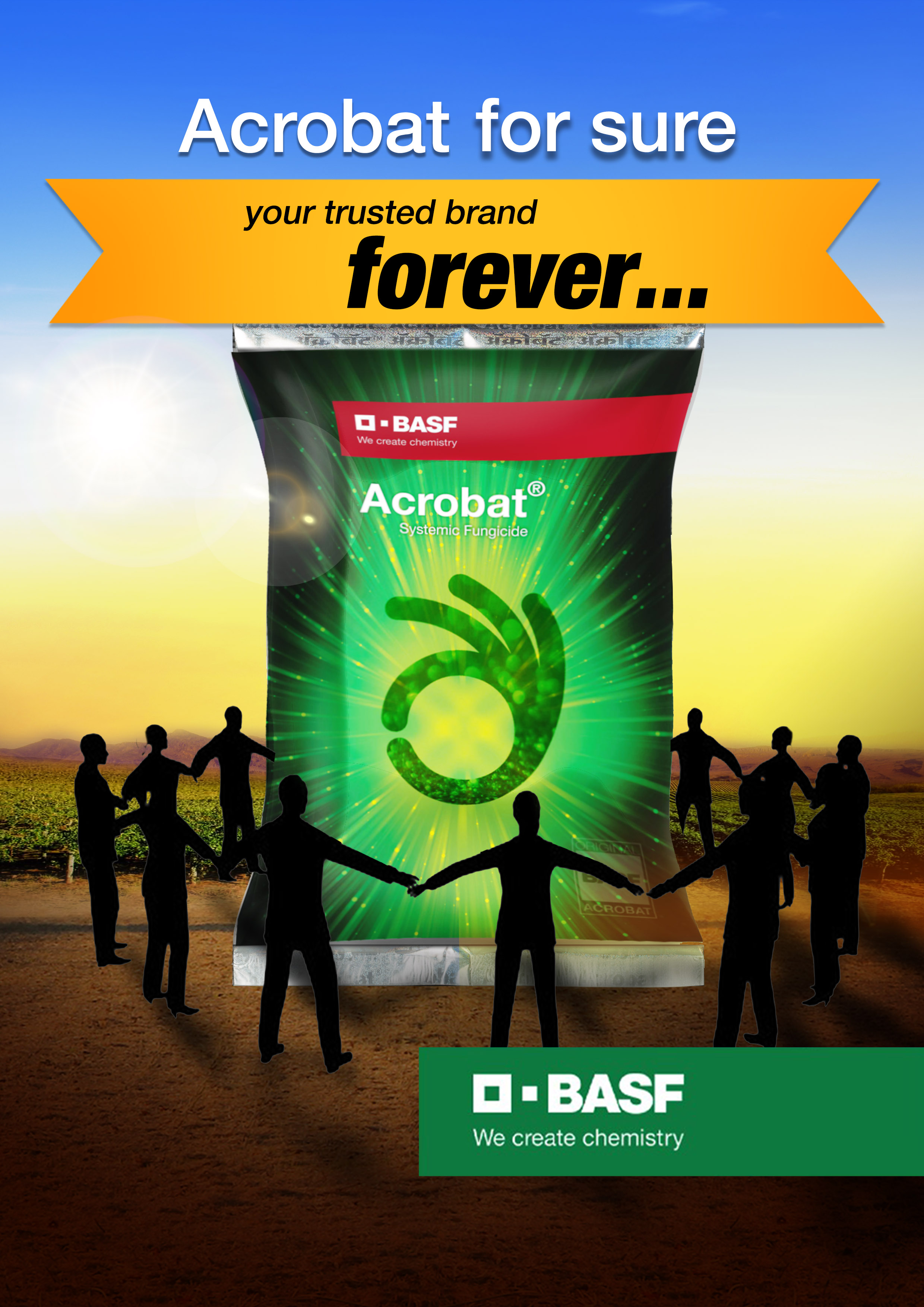 Solutions for Grapes | BASF Crop Protection India